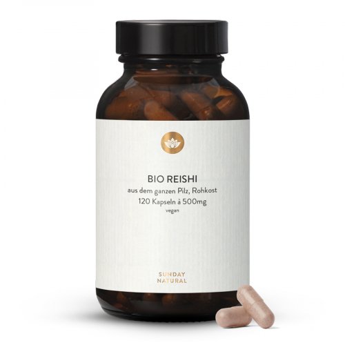 Poudre du champignon médicinal biologique reishi en qualité d'aliment ...